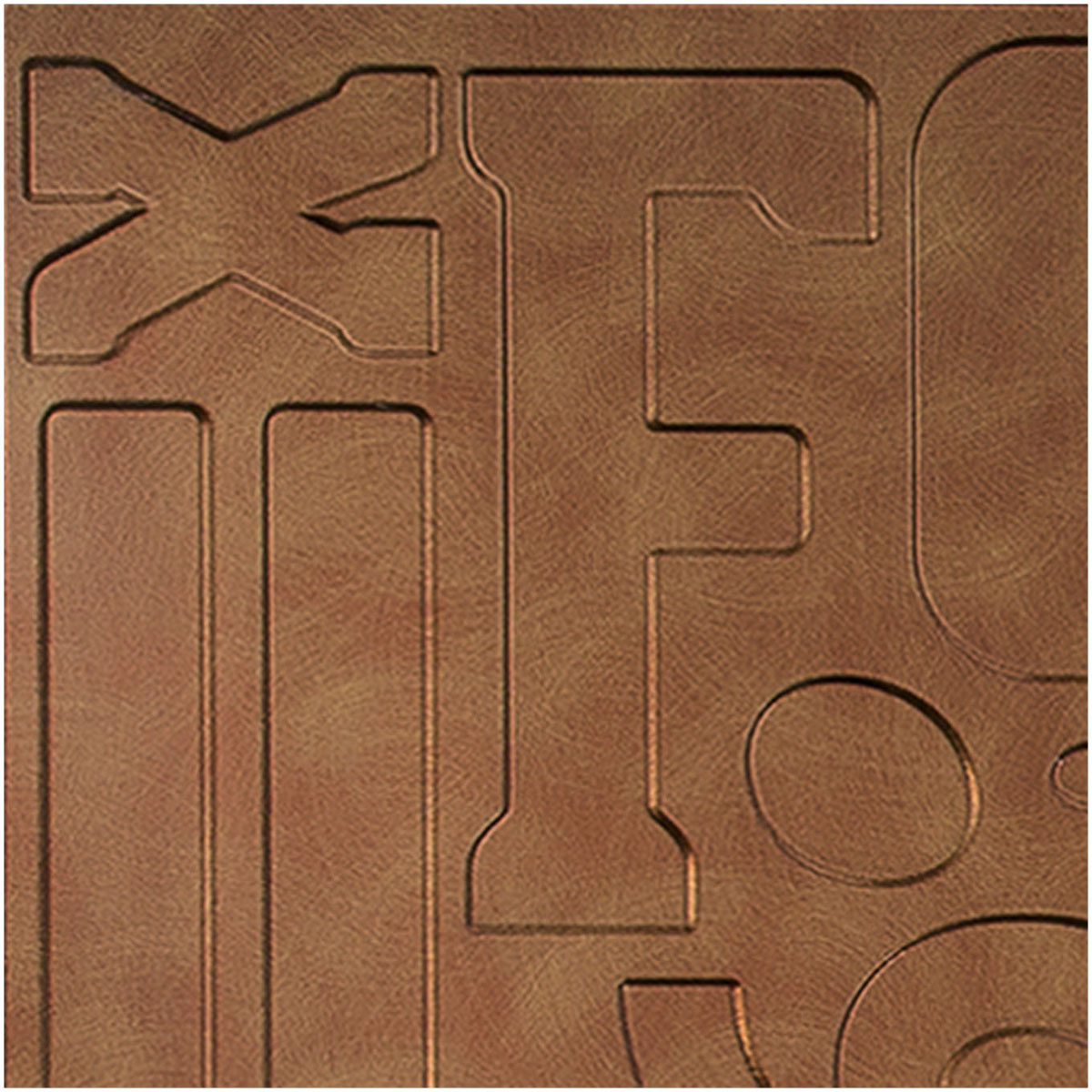 ACP SAMPLE-WP12X12ALAN Fasade Alphabet Wall Panel, 12-Inch x 12-Inch ...